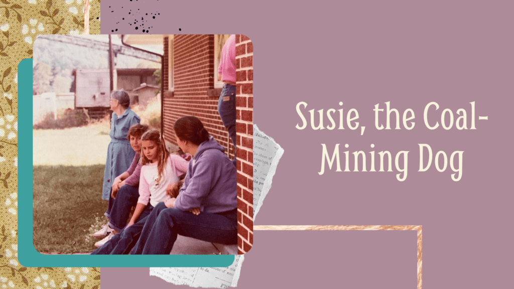 Susie, the Coal-Mining Dog - carlagover.com